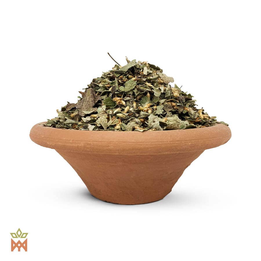 Herbe de rêve mexicaine | Calea Zacatechichi | Maya Herbs