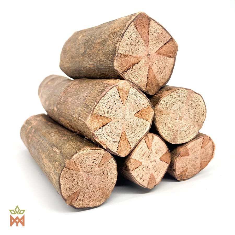 Clavo Huasca |Tynanthus panurensis | Vigne entière | Maya